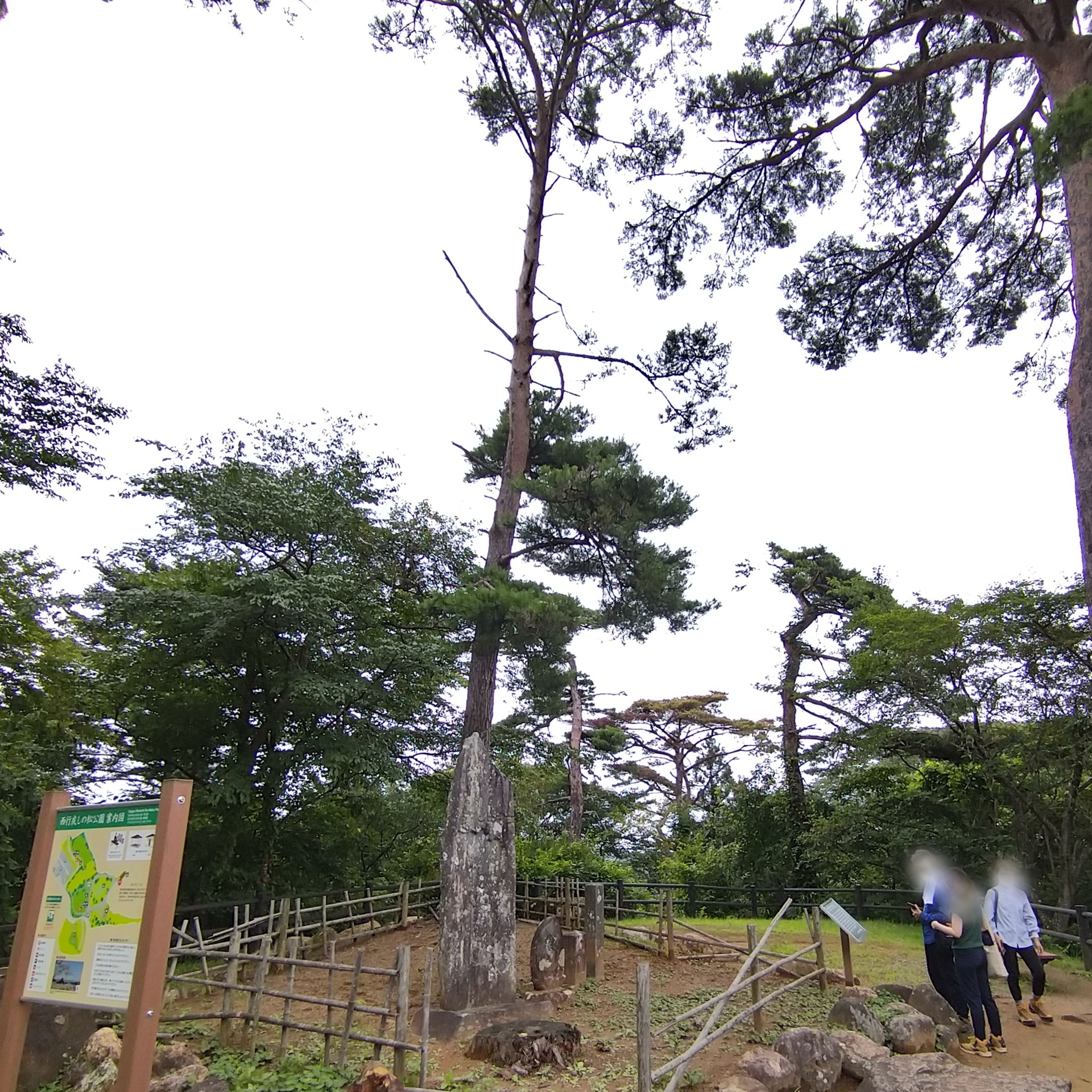 松島漫遊記～その1: Northern LIFE!