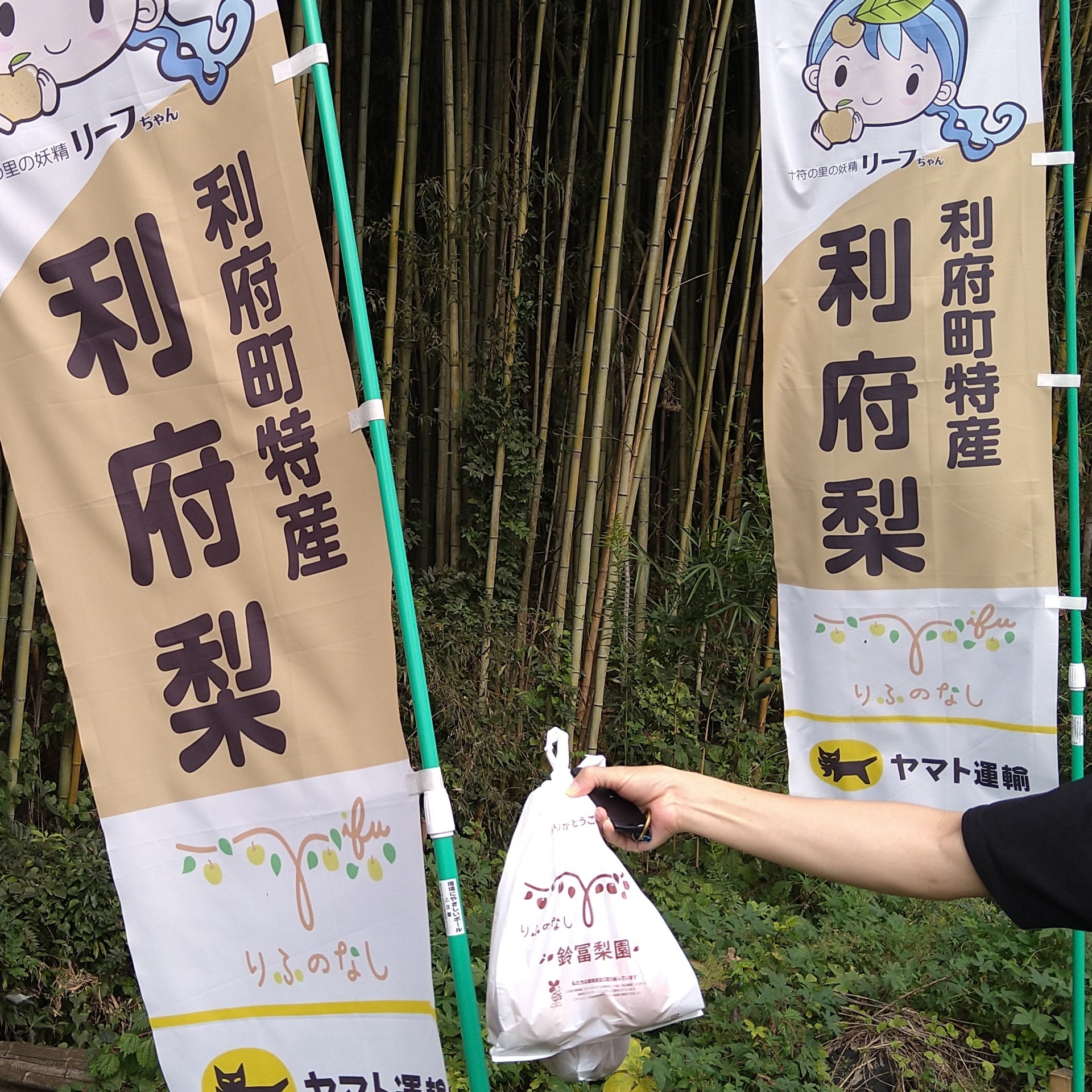 利府の梨: Northern LIFE!