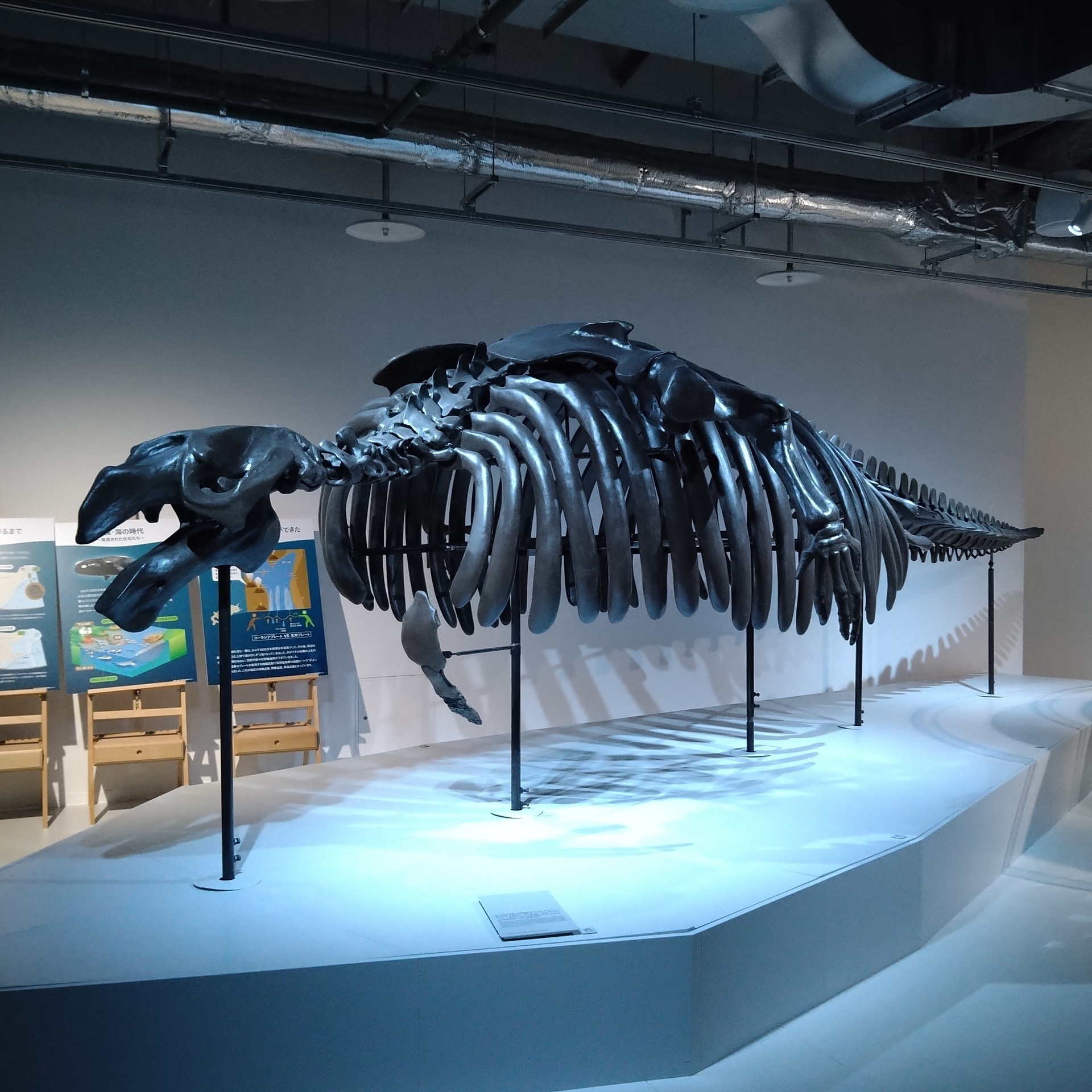 札幌滞在記 その1～AOAO: Northern LIFE!